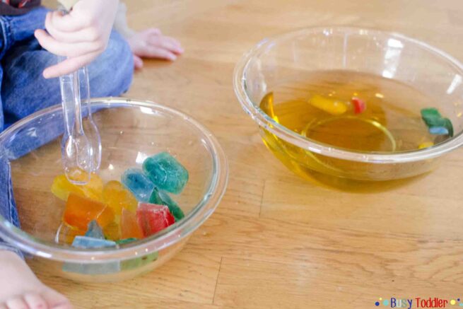 Colored Ice Transfer Activity - Busy Toddler