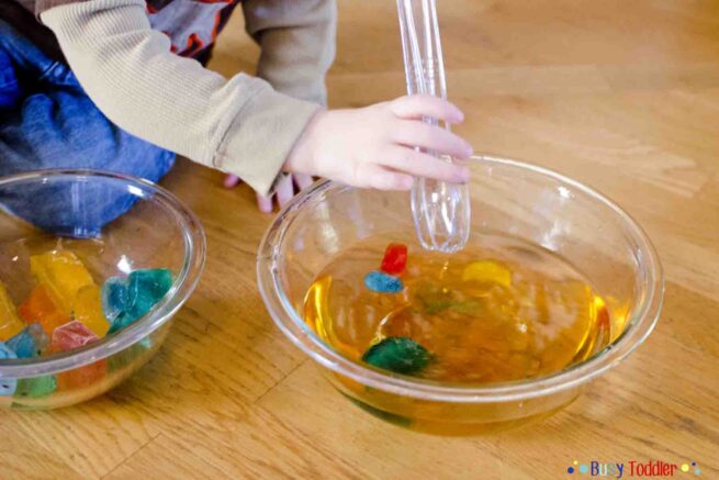 Colored Ice Transfer Activity - Busy Toddler