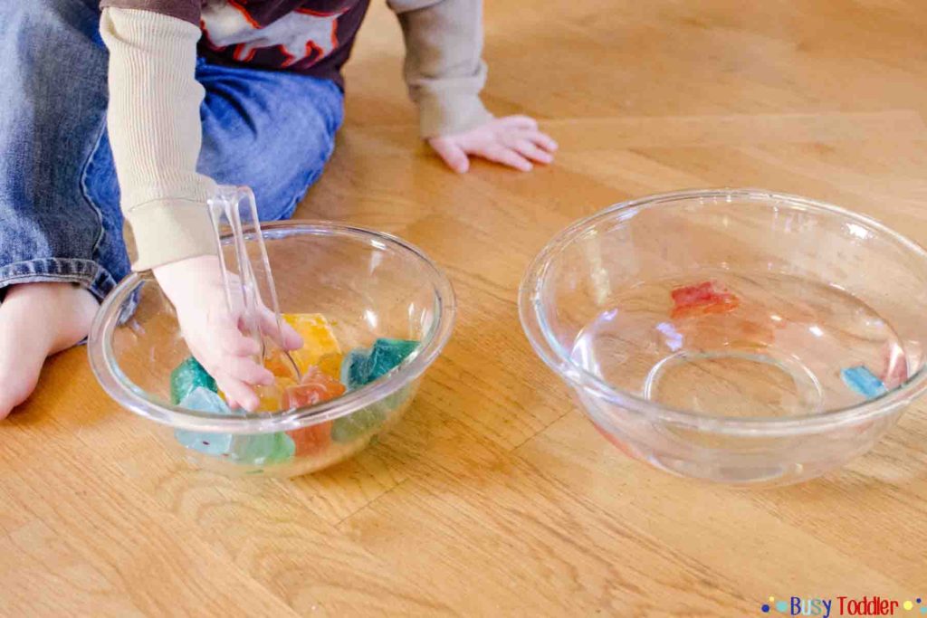 Colored Ice Transfer Activity - Busy Toddler