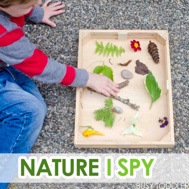 Nature I-Spy with Toddlers - Busy Toddler