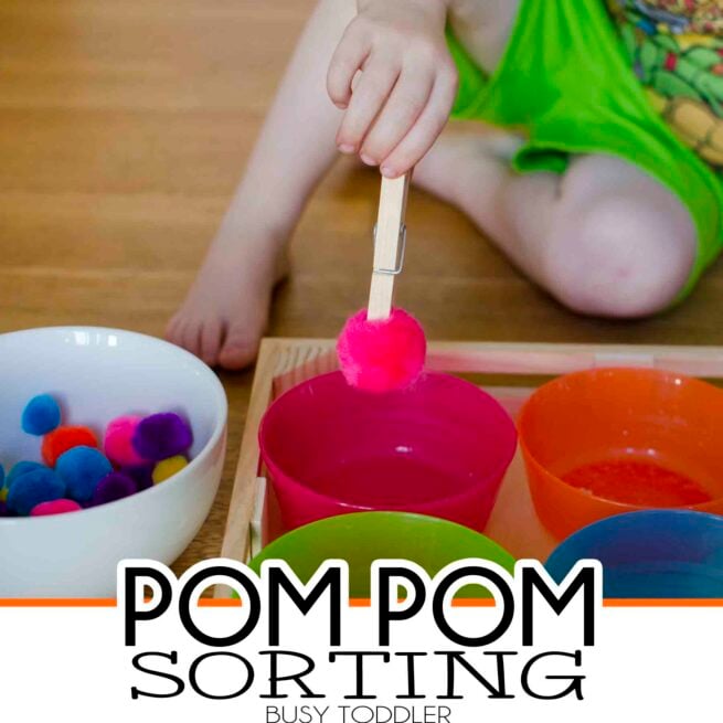 Pom Pom Sorting: Fine Motor Skills Activity - Busy Toddler