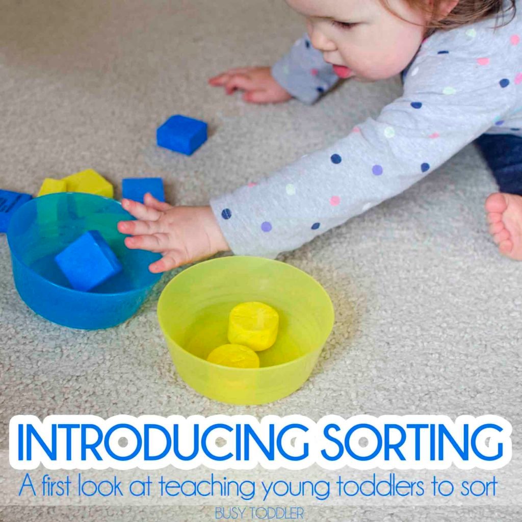 Introducing Sorting: Teaching Young Toddlers - Busy Toddler
