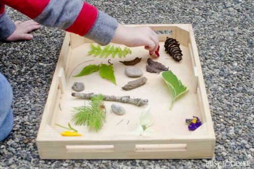 Nature I-Spy with Toddlers - Busy Toddler