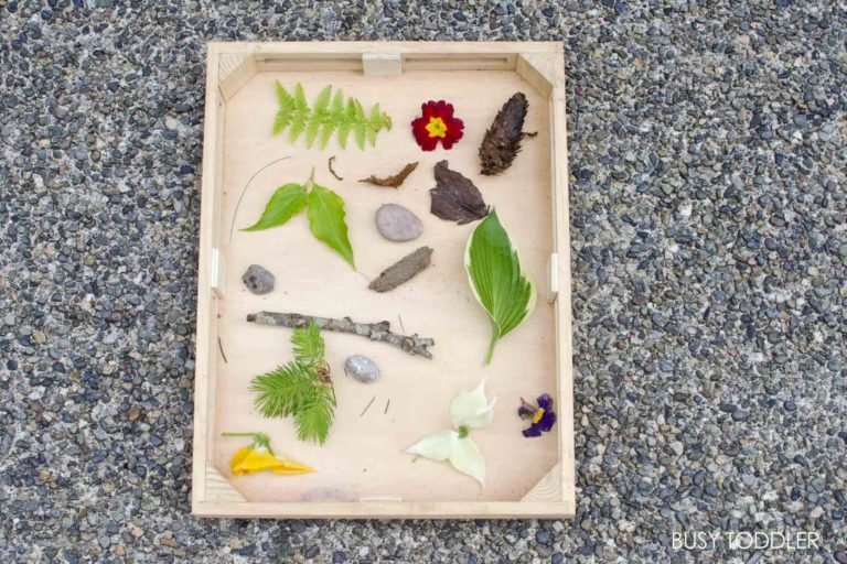 Nature I-Spy with Toddlers - Busy Toddler