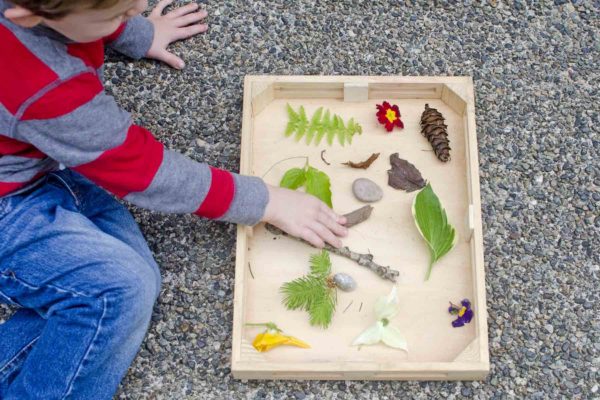 Nature I-Spy with Toddlers - Busy Toddler