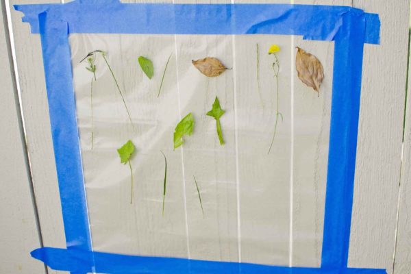 Outside Sticky Wall - Busy Toddler