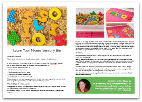 Play Based Learning: ABCs and 123s ebook - Busy Toddler