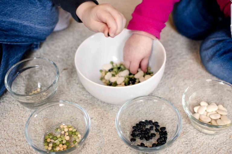 8 Simple Sorting Activities for Toddlers - Busy Toddler