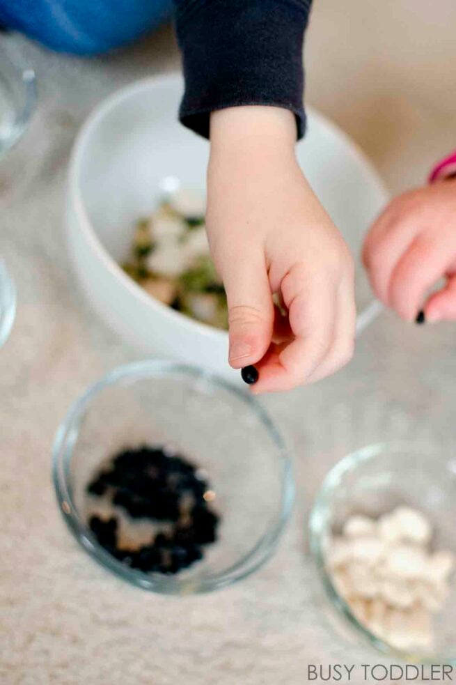 Bean Sort Easy Activity - Busy Toddler