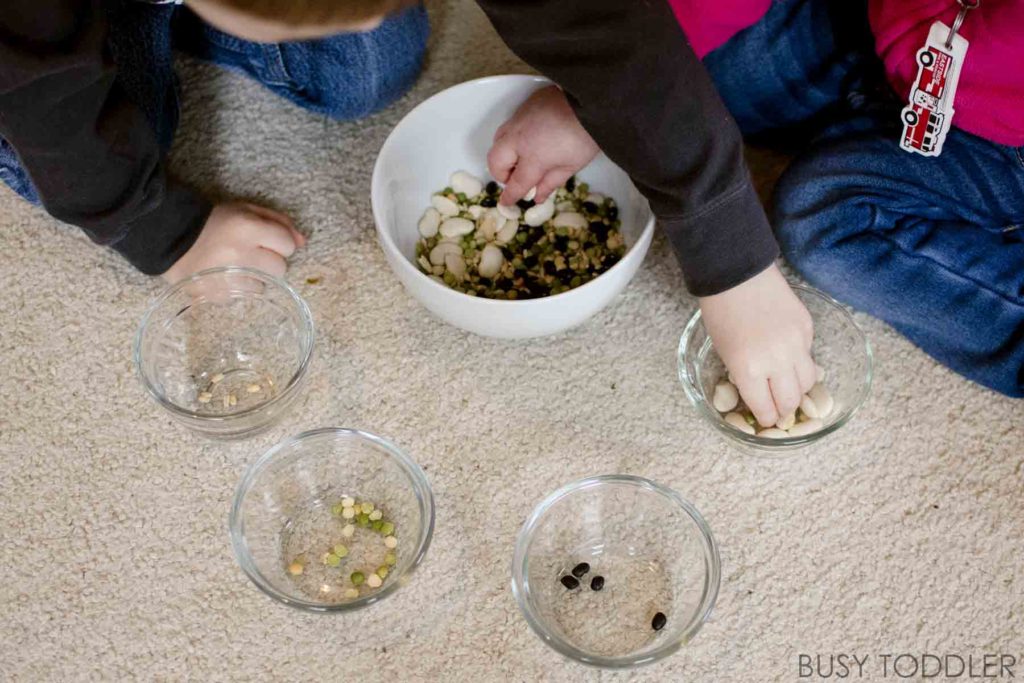 Bean Sort Easy Activity - Busy Toddler