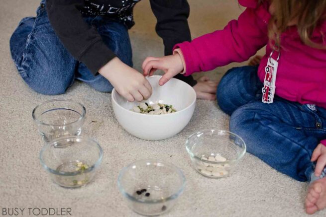 Bean Sort Easy Activity - Busy Toddler