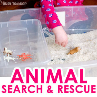 Animal Hunt Sensory Activity - Busy Toddler