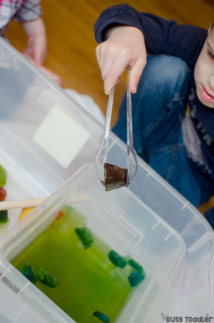 Rainbow Ice: a toddler science activity - Busy Toddler
