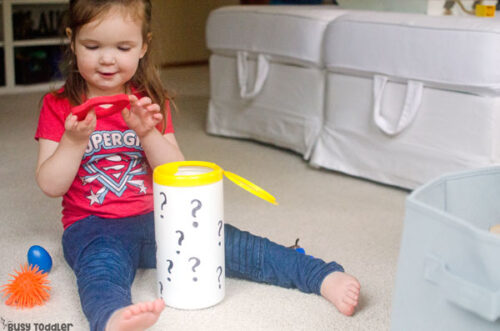 Mystery Box Easy Toddler Activity - Busy Toddler