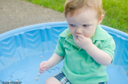 Cereal Pool - Baby Sensory Bin - Busy Toddler