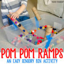 Pom Pom Push - Busy Toddler