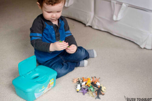 Simple Toy Push Activity - Busy Toddler