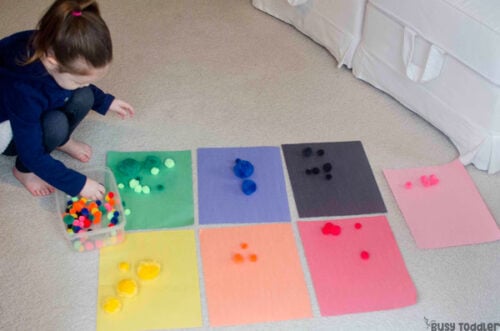 Pom Pom Color Sort - Busy Toddler