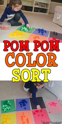 Pom Pom Color Sort - Busy Toddler