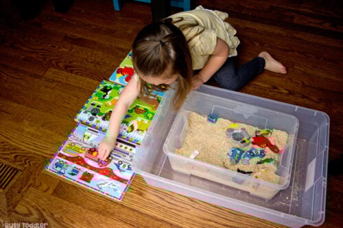 Puzzle Sorting Sensory Bin - Busy Toddler