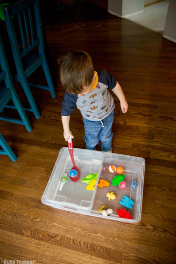 Water Scoop and Transfer - A Toddler Activity - Busy Toddler
