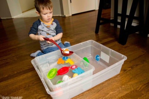 Water Scoop and Transfer - A Toddler Activity - Busy Toddler
