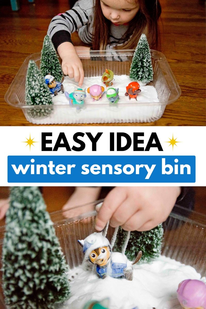 Winter Sensory Bin for Preschoolers - Busy Toddler