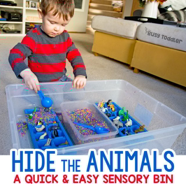 Hidden Animals Sensory Bin - Busy Toddler