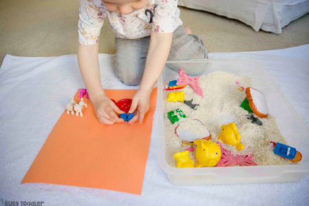 Matching Pairs: An Easy Sensory Activity - Busy Toddler