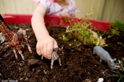 Animal World Sensory Bin Outdoor Activity - Busy Toddler