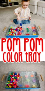 Pom Pom Color Sorting Toddler Activity - Busy Toddler