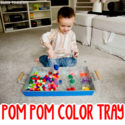 Pom Pom Color Sorting Toddler Activity - Busy Toddler