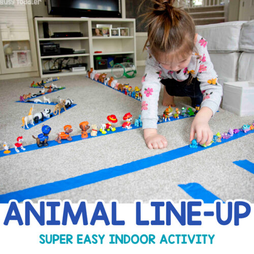Animal Line-Up: A Quick and Easy Activity from Busy Toddler