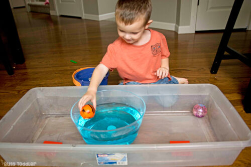 Sink or Float: Toddler Science Experiment - Busy Toddler