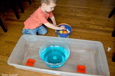 Sink or Float: Toddler Science Experiment - Busy Toddler