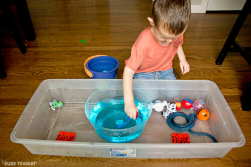 Sink or Float: Toddler Science Experiment - Busy Toddler