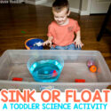 Sink or Float: Toddler Science Experiment - Busy Toddler