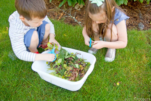 Nature Cutting Bin: A FREE Kids Activity - Busy Toddler