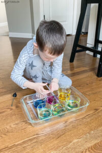 Oil and Water Science Experiment for Kids - Busy Toddler
