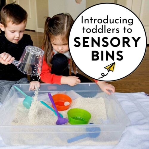 Sensory Bins for Toddlers - Busy Toddler