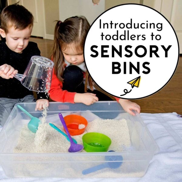 Introducing toddlers to sensory bins - Busy Toddler