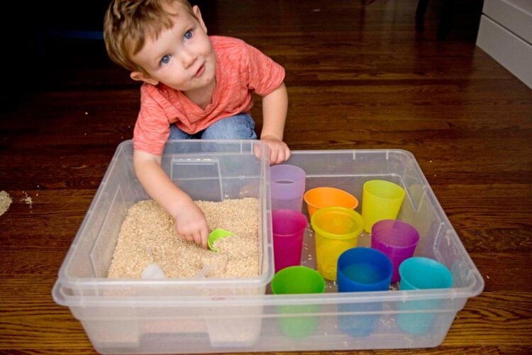 Sensory Bin Basics: What You Need to Have - Busy Toddler