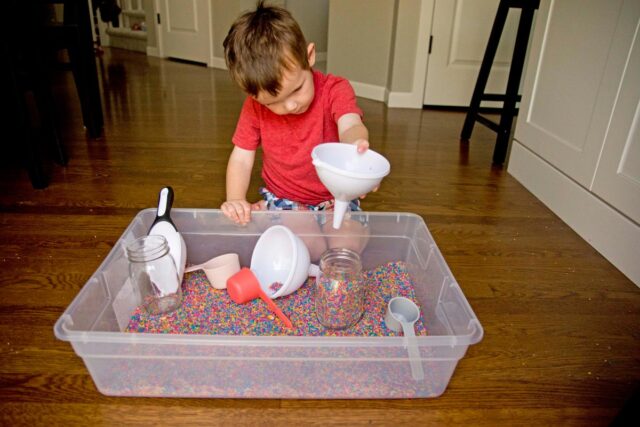 Sensory Bin Basics: What You Need to Have - Busy Toddler