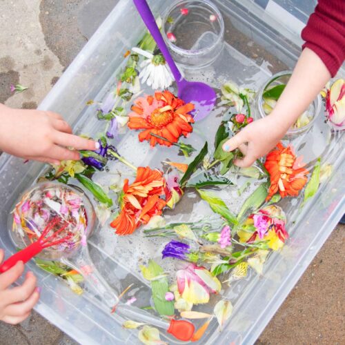 Flower Soup Outdoor Sensory Bin - Busy Toddler