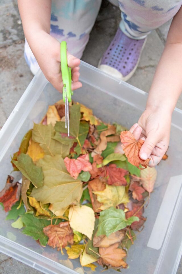 Fall Leaf Cutting Bin - Busy Toddler