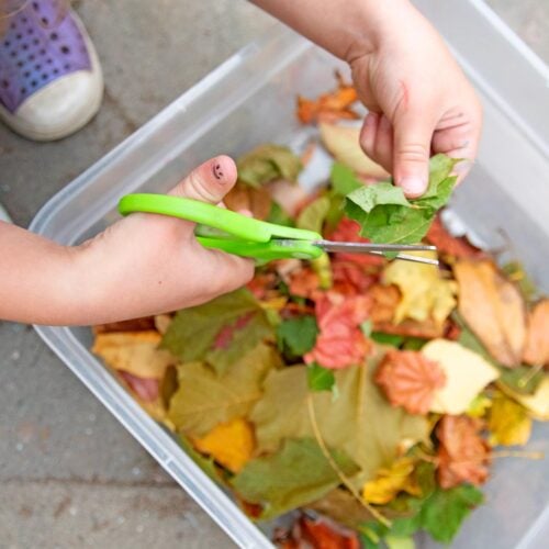 Fall Leaf Cutting Bin - Busy Toddler
