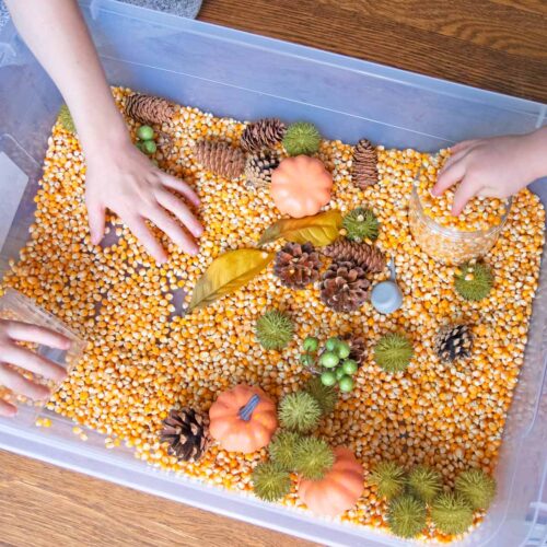 Fall Sensory Bin - Busy Toddler