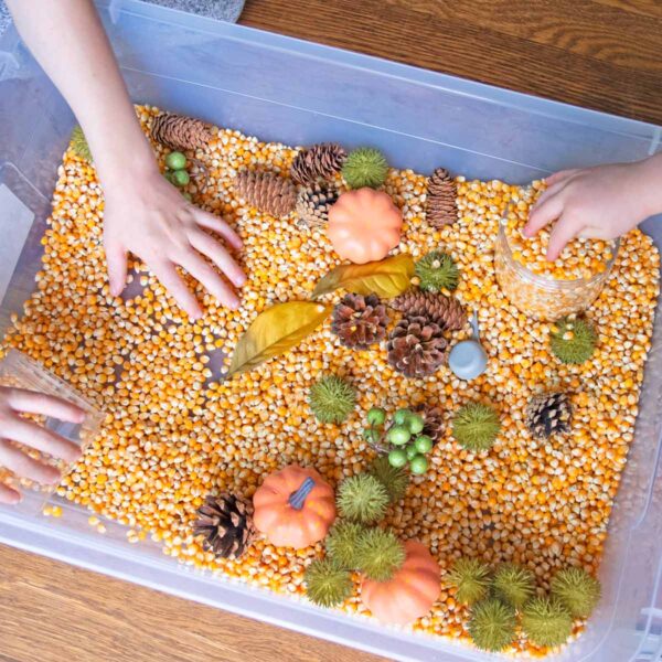 Fall Sensory Bin - Busy Toddler