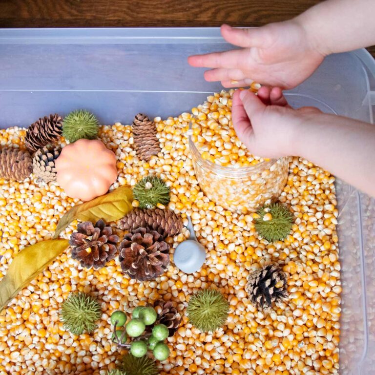 Fall Sensory Bin - Busy Toddler