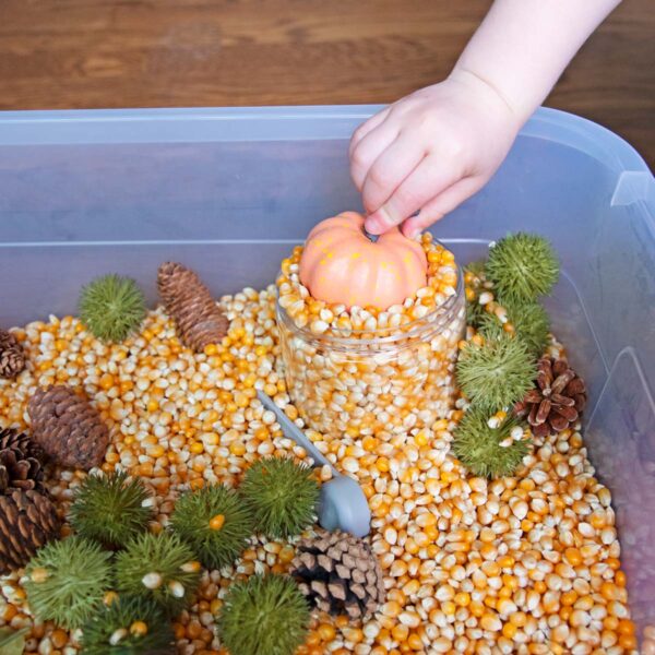Fall Sensory Bin - Busy Toddler